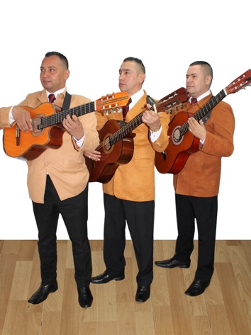 Galería Imágenes - Trío Musical Terramar